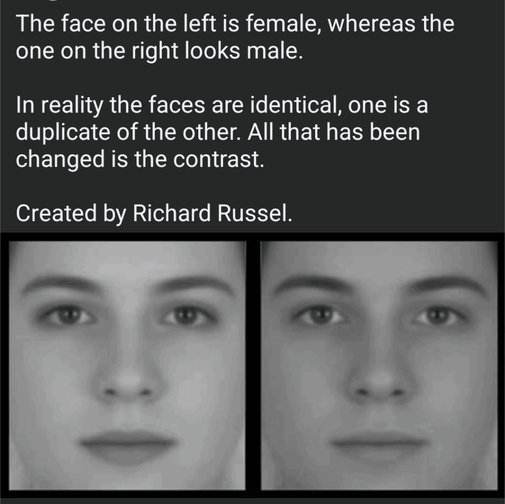 35 Perplexing Optical Illusions That Bent Our Minds This Week