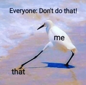 28 Funny Minimalist Memes That Get Straight To The Point