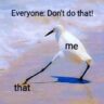 28 Funny Minimalist Memes That Get Straight To The Point