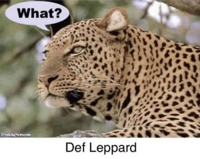 28 Funny Minimalist Memes That Get Straight To The Point