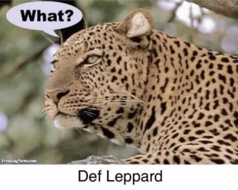 28 Funny Minimalist Memes That Get Straight To The Point