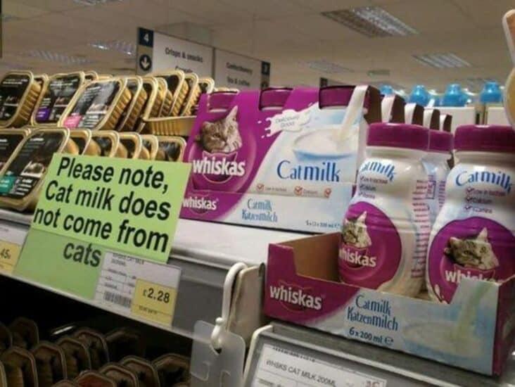 50+ Funniest Design Fails That Made People Cringe In 2024
