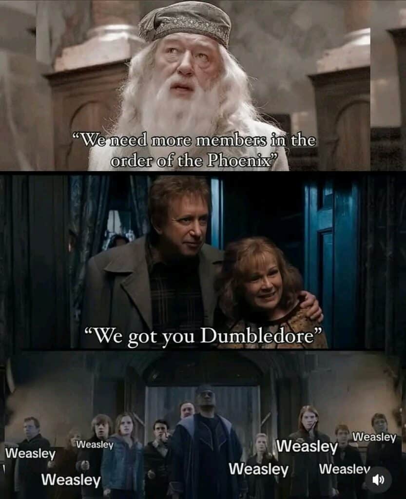 30 Funniest Harry Potter Memes Delivered By Owl This Week (December 10 ...