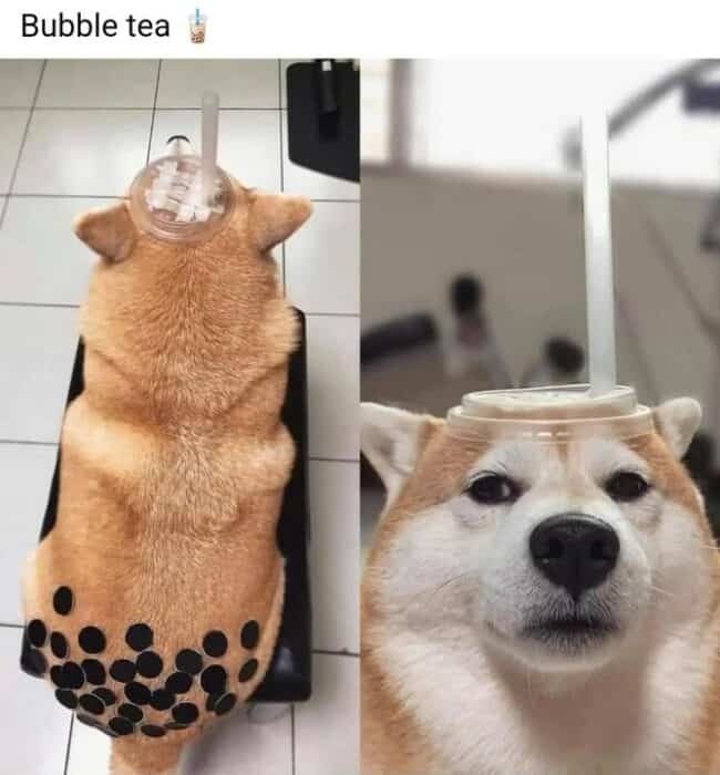 45 Funniest Memes Imgur Had To Offer Us This Week (December 4, 2024)