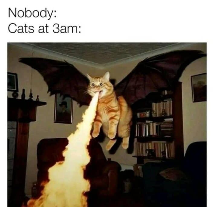 45 Funniest Memes Imgur Had To Offer Us This Week (December 4, 2024)