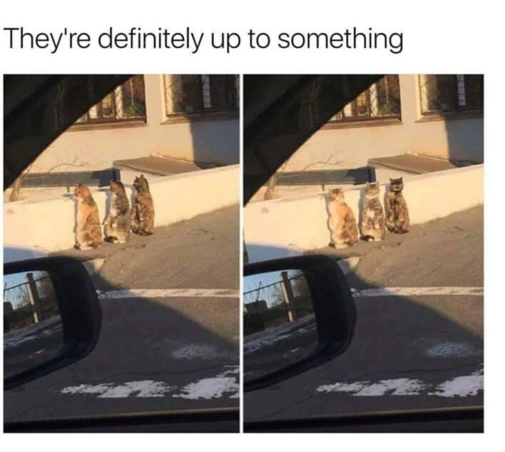 45 Funniest Memes Imgur Had To Offer Us This Week (December 4, 2024)