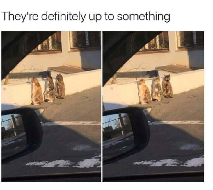 45 Funniest Memes Imgur Had To Offer Us This Week (December 4, 2024)