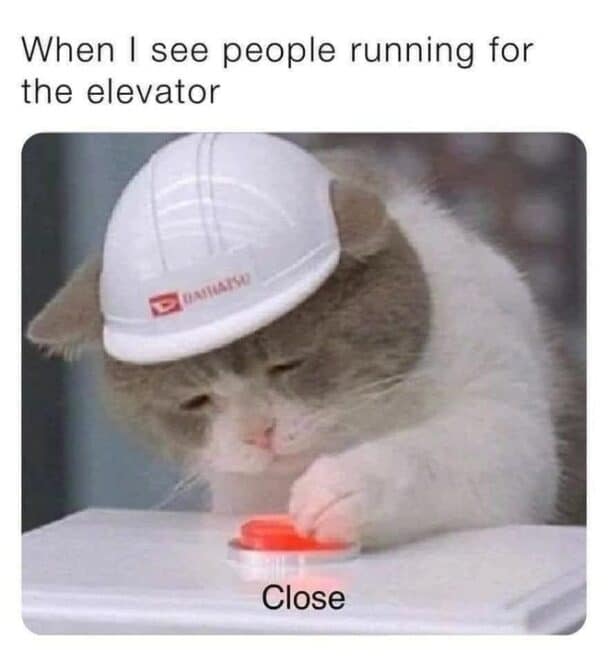 45 Funniest Memes Imgur Had To Offer Us This Week (December 4, 2024)