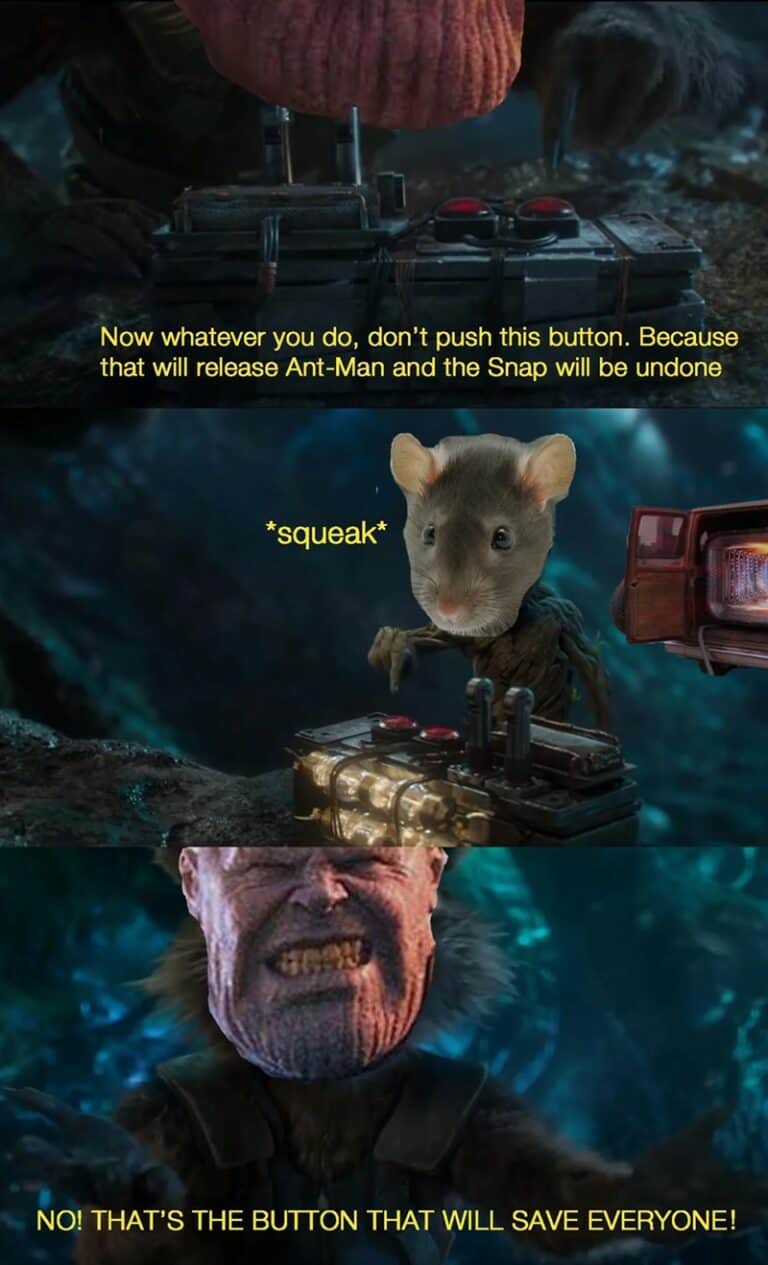 35 Funniest Marvel Memes From Across The Entire MCU (December 20, 2024)