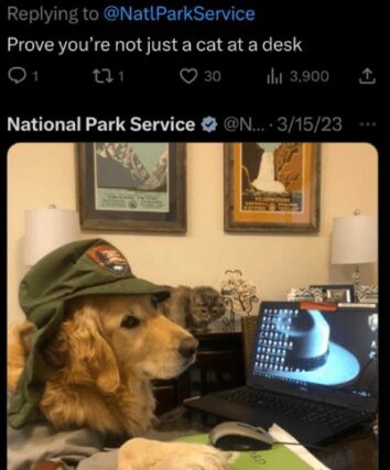 40 Funniest Tweets From The National Park Service This Year