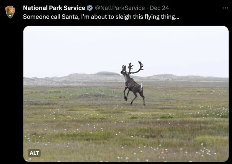40 Funniest Tweets From The National Park Service This Year