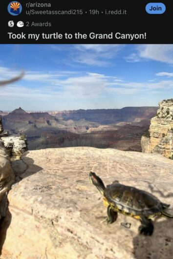 40 Funniest Pictures From The Depths Of Reddit This Week (December 10 ...