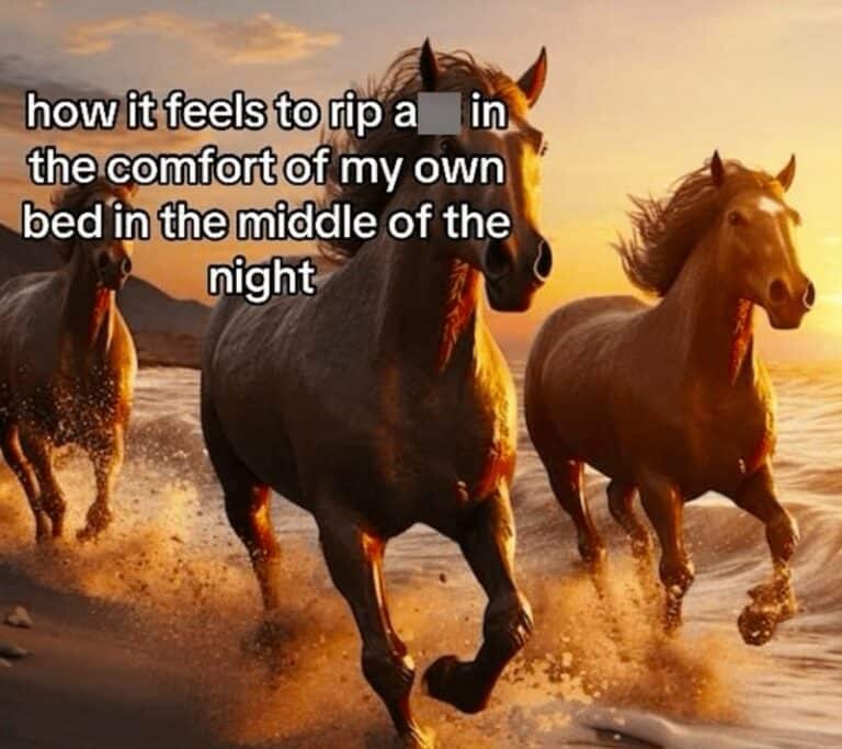 50 Funniest Insanely Random Tiktok Screenshots From This Week (December ...