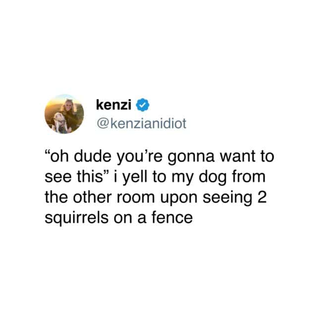 30 Funniest Tweets Of All Time From Monday (December 16, 2024)