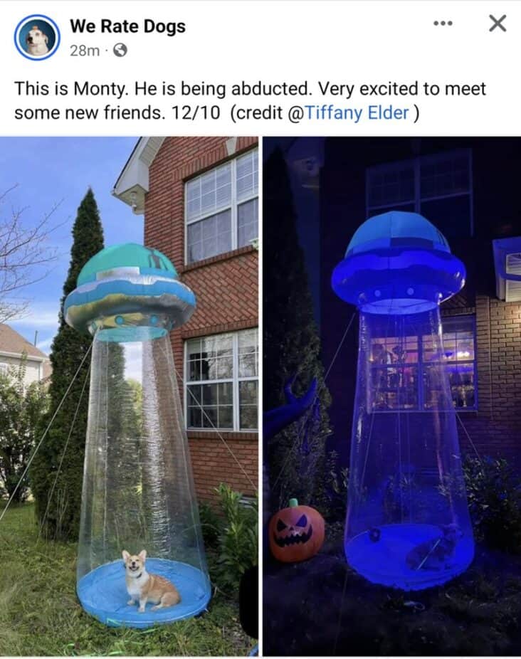 38 Funniest UFO Memes Since It Seems Like The Aliens Are Landing Any ...