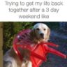 50 Funniest Work Memes That Made The Daily Grind Almost Bearable This ...