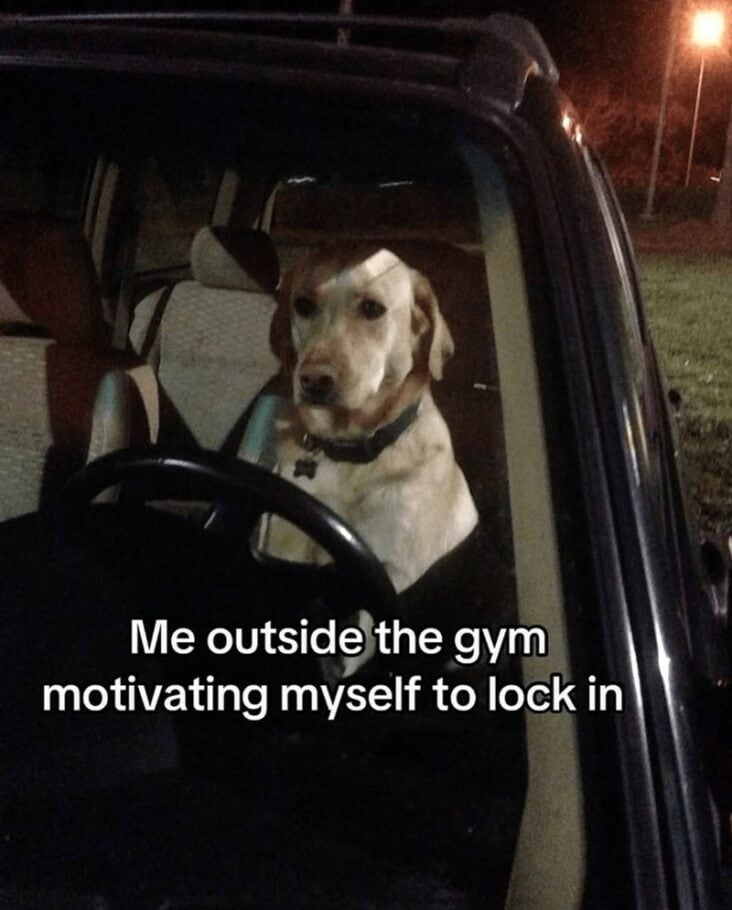 35 Funniest Workout Memes Posting Maximum Gains This Week (December 23 ...