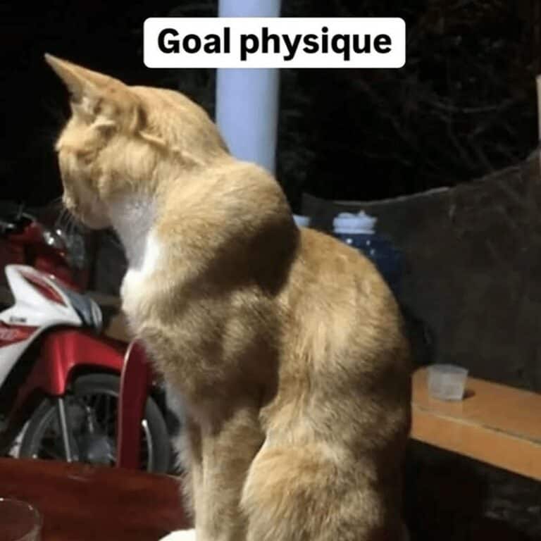 35 Funniest Workout Memes Posting Maximum Gains This Week (December 23 ...