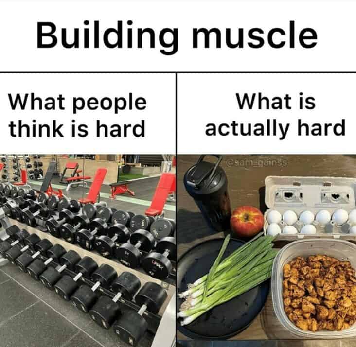 40 Funniest Workout Memes Posting Maximum Gains This Week (December 9 ...