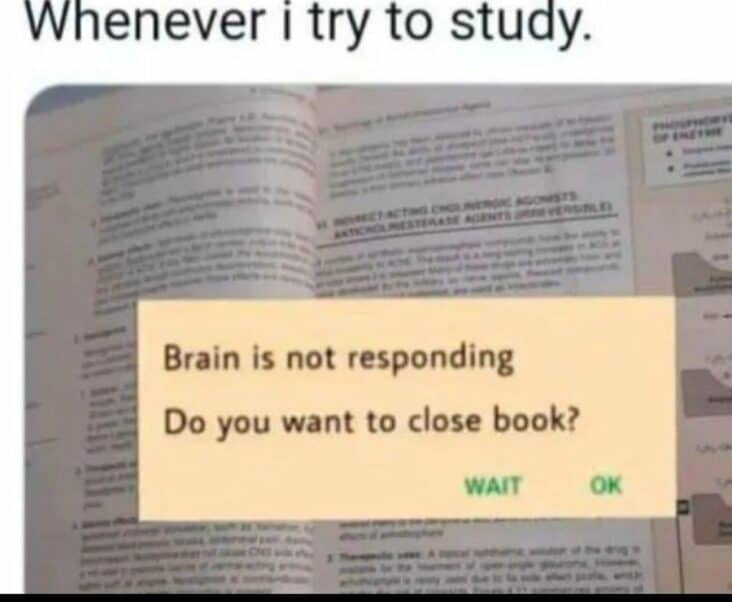 45 Funny ADHD Memes To Hyper Fixate On Until The Next Thing (December 5 ...