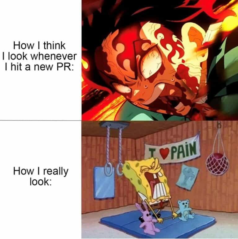 40 Hilarious Anime Memes Even Vegeta Would Crack A Smile At (December ...