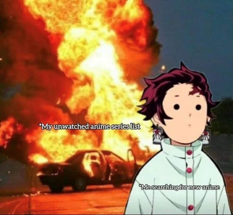 40 Hilarious Anime Memes Even Vegeta Would Crack A Smile At (December ...