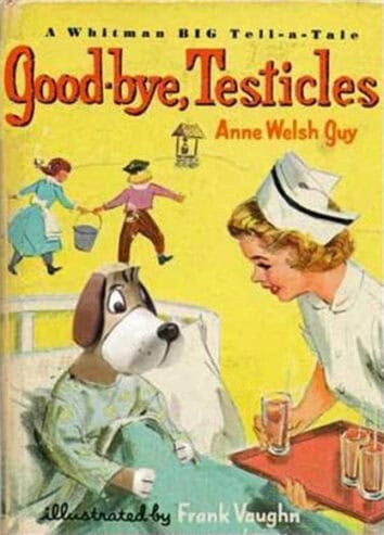 "Bad Book Covers" — 35 Ridiculous Books We're Definitely Judging By ...