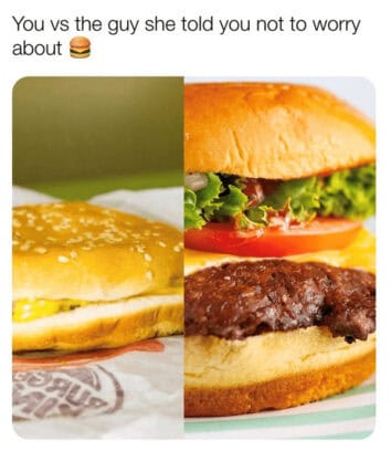 40 Funny Cheeseburger Memes That Pair Perfectly With A Side Of Fries