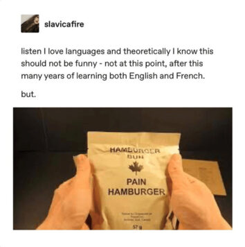 40 Funny Cheeseburger Memes That Pair Perfectly With A Side Of Fries