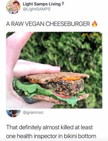 40 Funny Cheeseburger Memes That Pair Perfectly With A Side Of Fries
