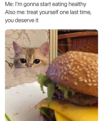 40 Funny Cheeseburger Memes That Pair Perfectly With A Side Of Fries