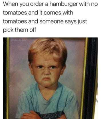 40 Funny Cheeseburger Memes That Pair Perfectly With A Side Of Fries