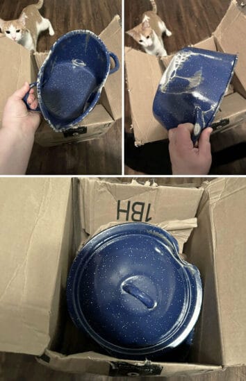 50 Funny Christmas Fails That'll Make Your Holiday Look Perfect By ...