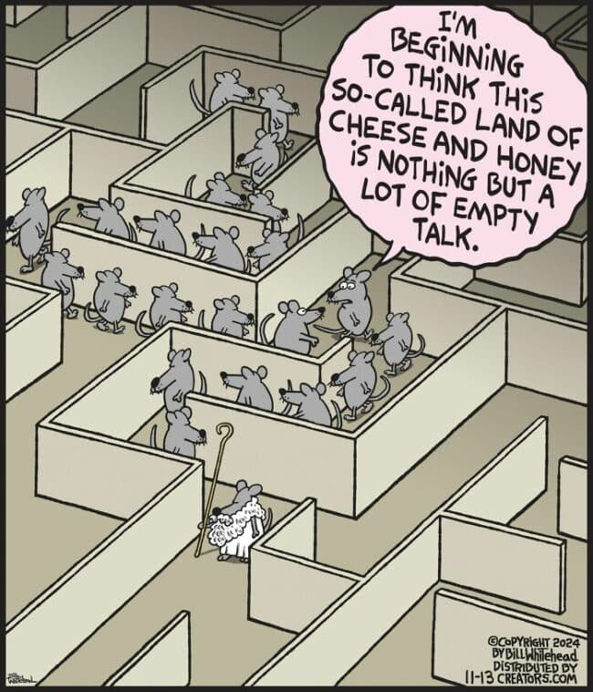 35 Hilarious One-Panel Comics By Bill Whitehead That Will Make Your Day ...
