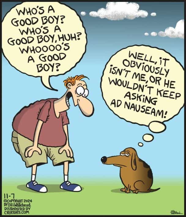 35 Hilarious One-Panel Comics By Bill Whitehead That Will Make Your Day ...