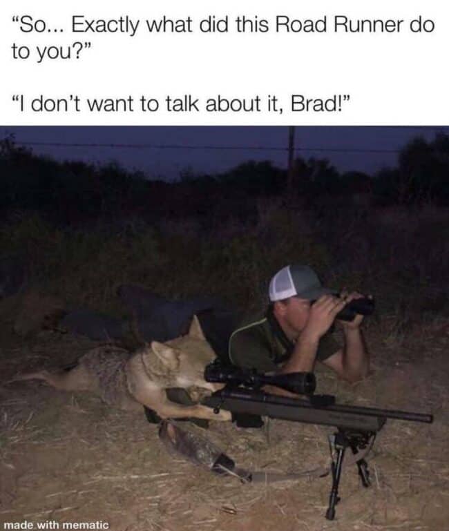 20+ Funny Coyote Memes From The Lil Wolf Dogs In Almost Every US State