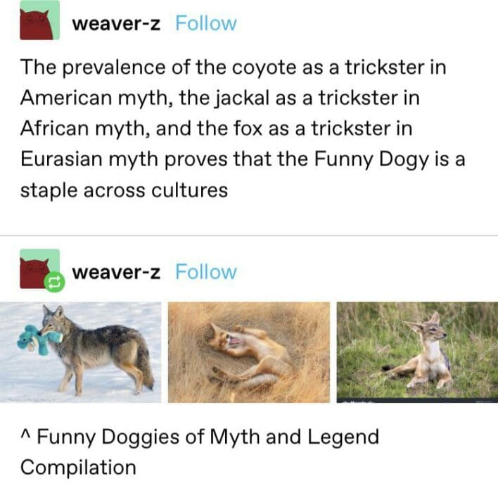 20+ Funny Coyote Memes From The Lil Wolf Dogs In Almost Every US State