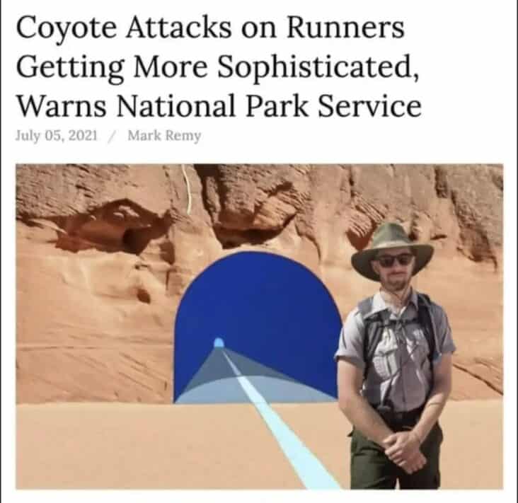 20+ Funny Coyote Memes From The Lil Wolf Dogs In Almost Every US State