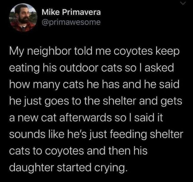 20+ Funny Coyote Memes From The Lil Wolf Dogs In Almost Every US State