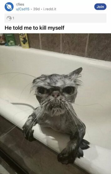 "Tumblr After Dark" — 32 Dark Humor Tumblr Memes Not For The Faint Of ...