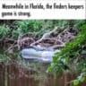 40 Funny Florida Memes For Anyone Who Thinks Alligators Are Just ...