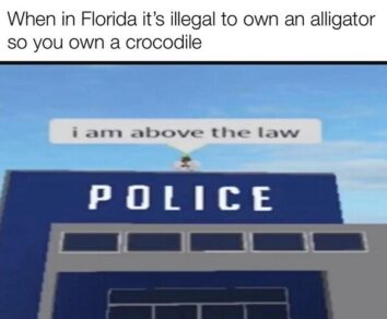 40 Funny Florida Memes For Anyone Who Thinks Alligators Are Just ...