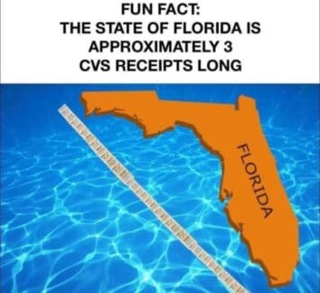 40 Funny Florida Memes For Anyone Who Thinks Alligators Are Just ...