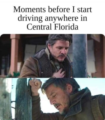 40 Funny Florida Memes For Anyone Who Thinks Alligators Are Just ...