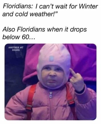 40 Funny Florida Memes For Anyone Who Thinks Alligators Are Just ...