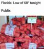 40 Funny Florida Memes For Anyone Who Thinks Alligators Are Just ...