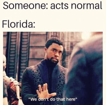 40 Funny Florida Memes For Anyone Who Thinks Alligators Are Just ...