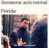 40 Funny Florida Memes For Anyone Who Thinks Alligators Are Just ...