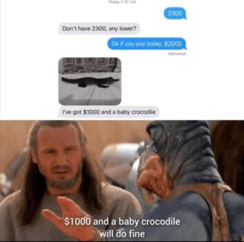 40 Funny Florida Memes For Anyone Who Thinks Alligators Are Just ...