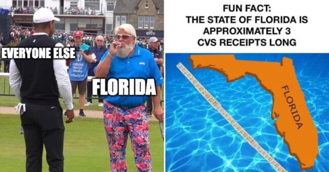40 Funny Florida Memes For Anyone Who Thinks Alligators Are Just ...